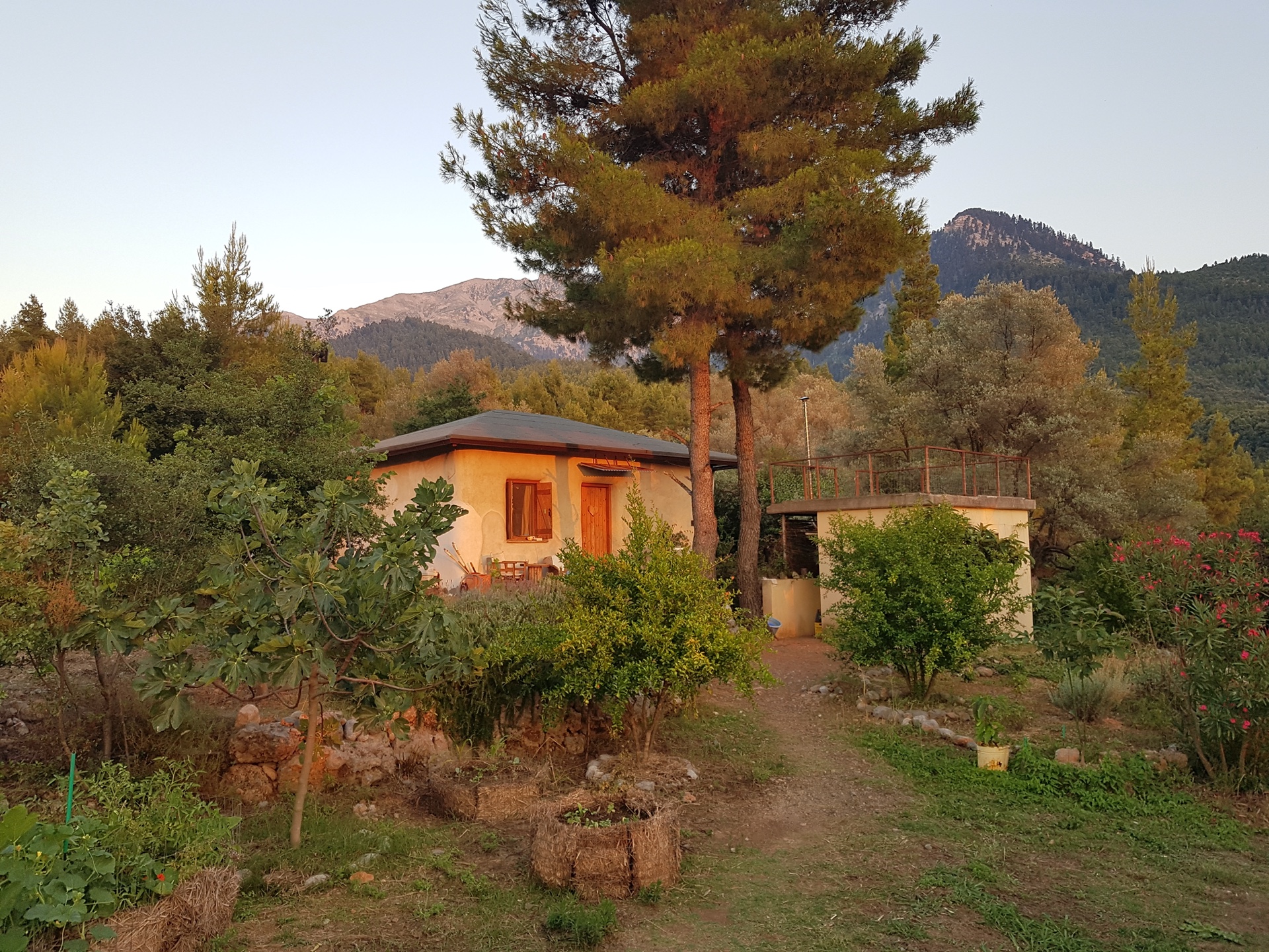 Αχυρόσπιτο με ξύλινο φορέα – Stagones.org